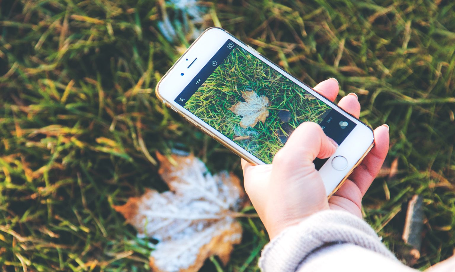 Digital Placemaking for Nature - Calvium
